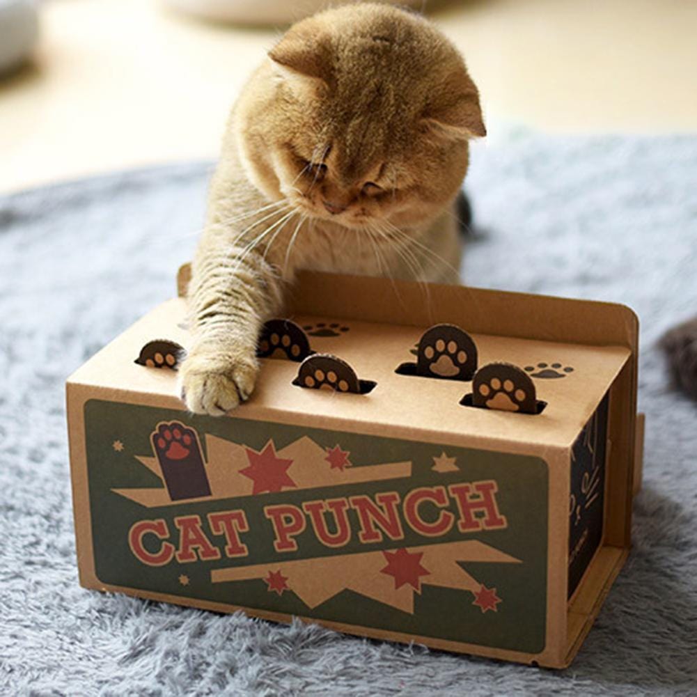 DIY Cat Punch Pop-Up Box – Meowhiskers